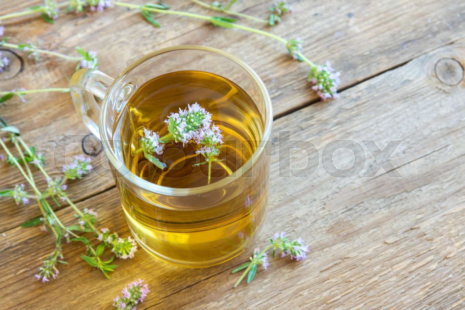 herbal tea with wild thyme | Stock image | Colourbox