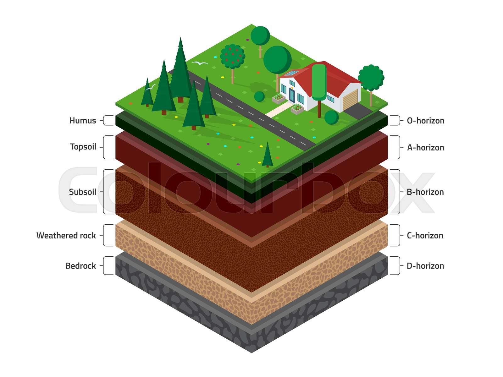 boden, schichten, schicht | Stock-Vektor | Colourbox