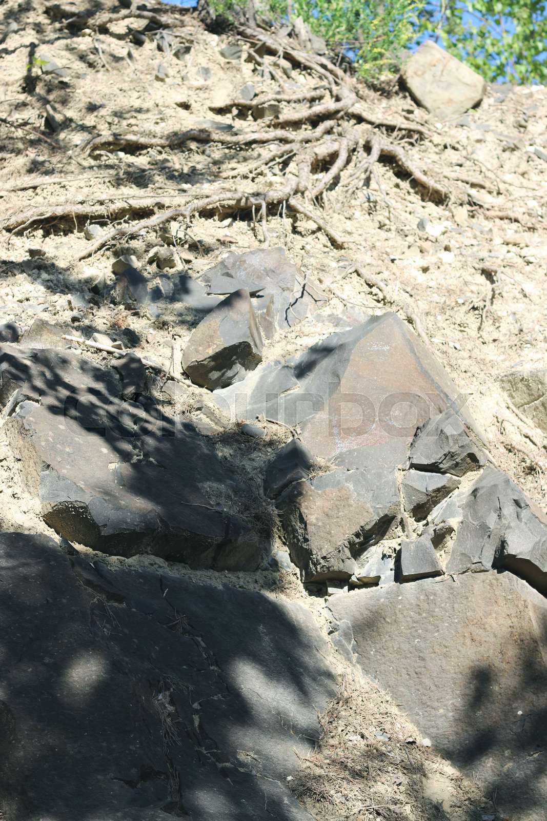 basalt and tree roots | Stock image | Colourbox