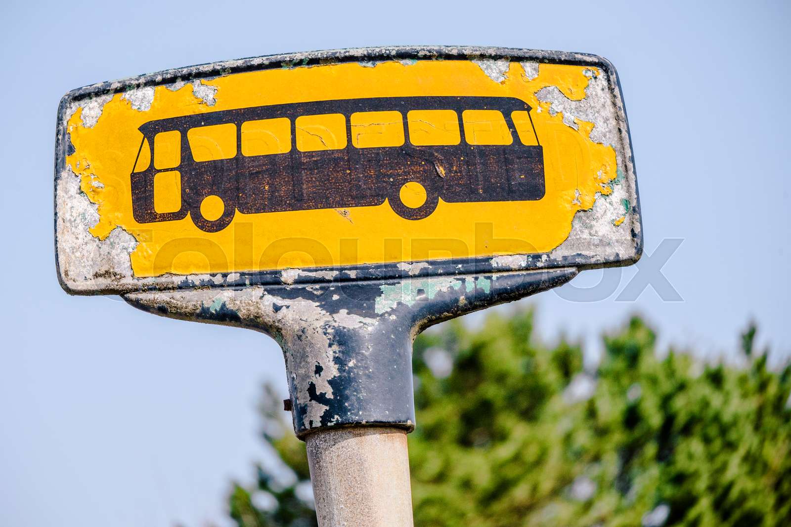 Bus skilt i gule farver ved et bus stoppested | Stock foto | Colourbox