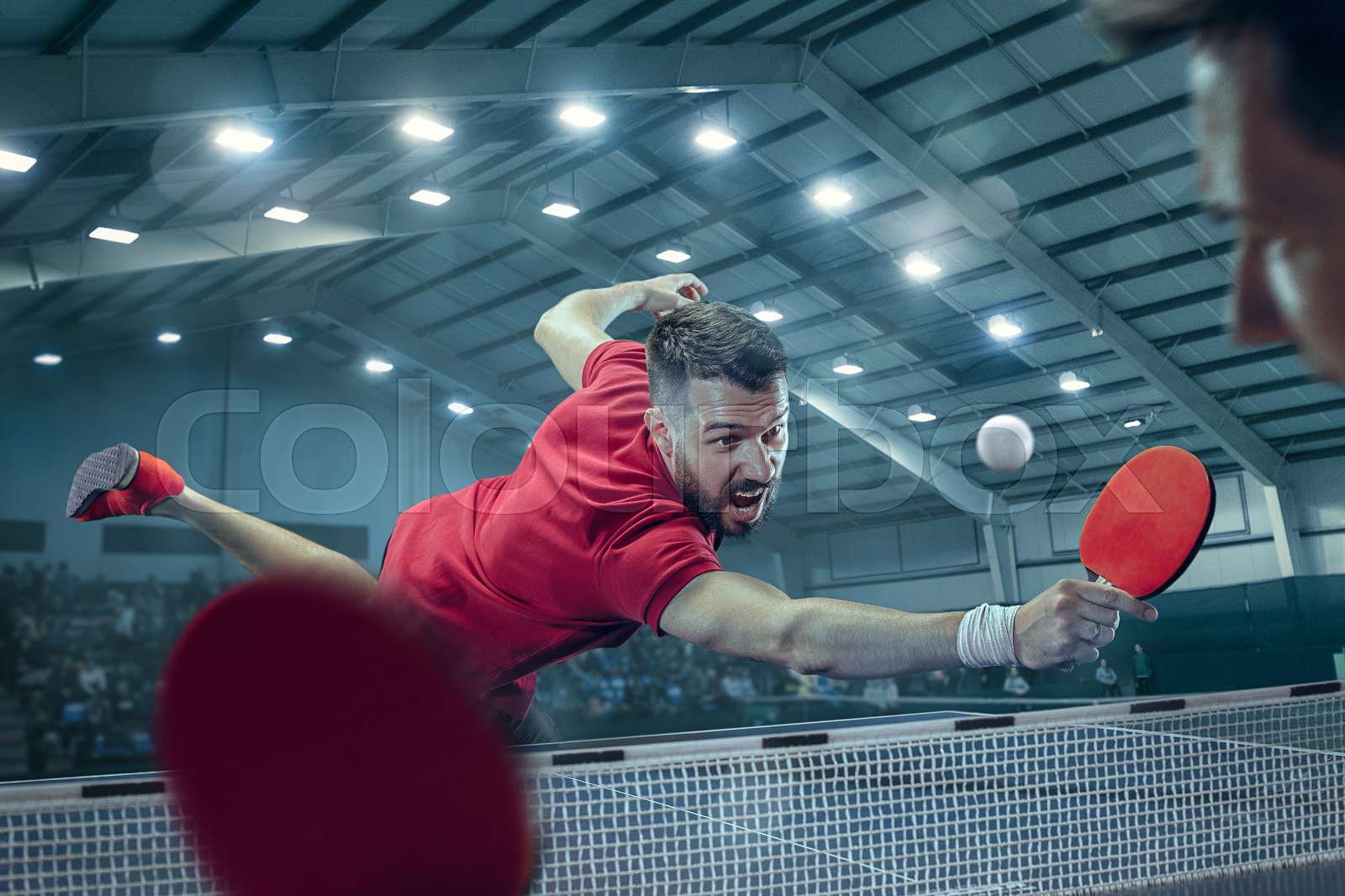 The table tennis player serving | Stock image | Colourbox