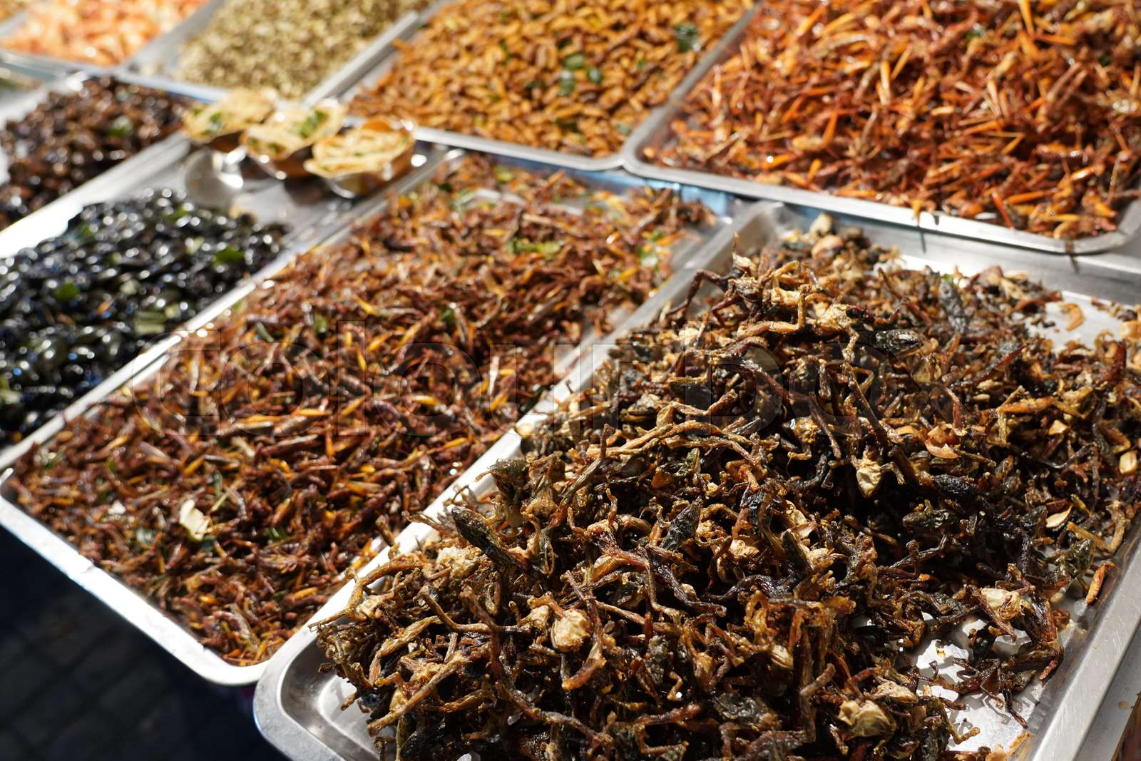 Fried bugs and insects in Bangkok Thailand at Night | Stock image ...