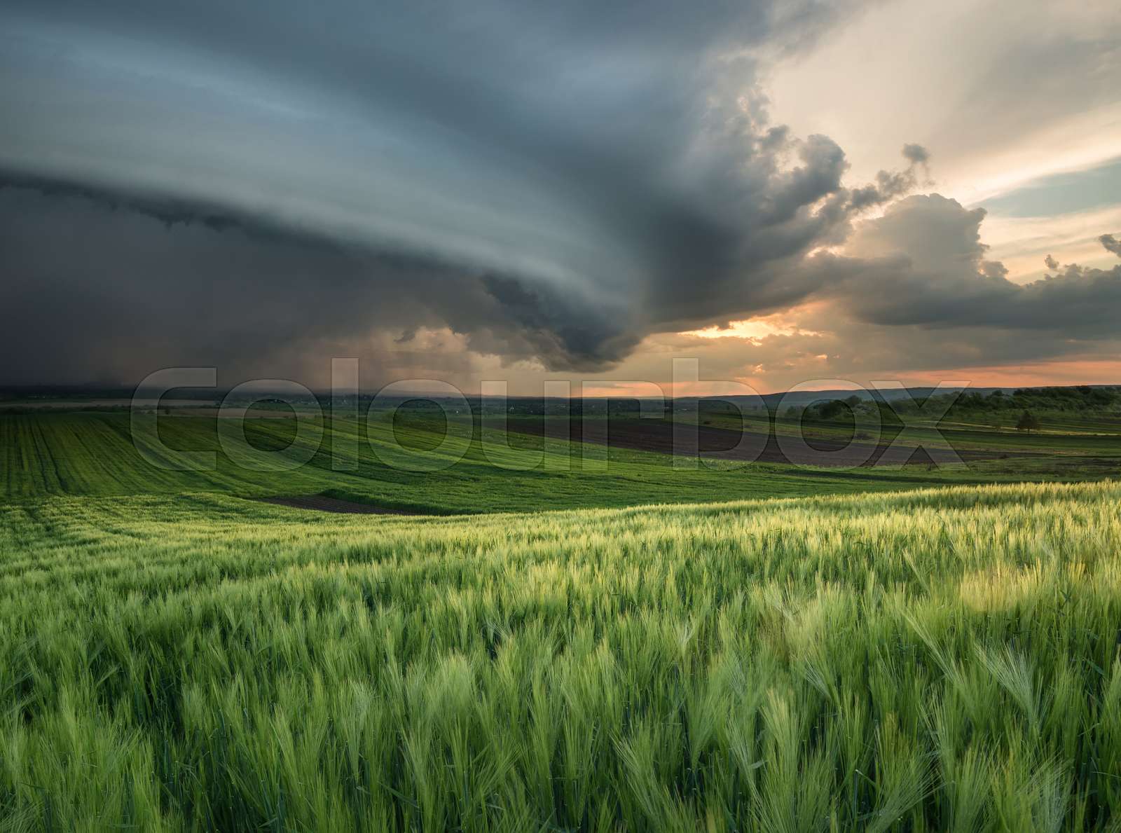 Cyclone on the field | Stock image | Colourbox