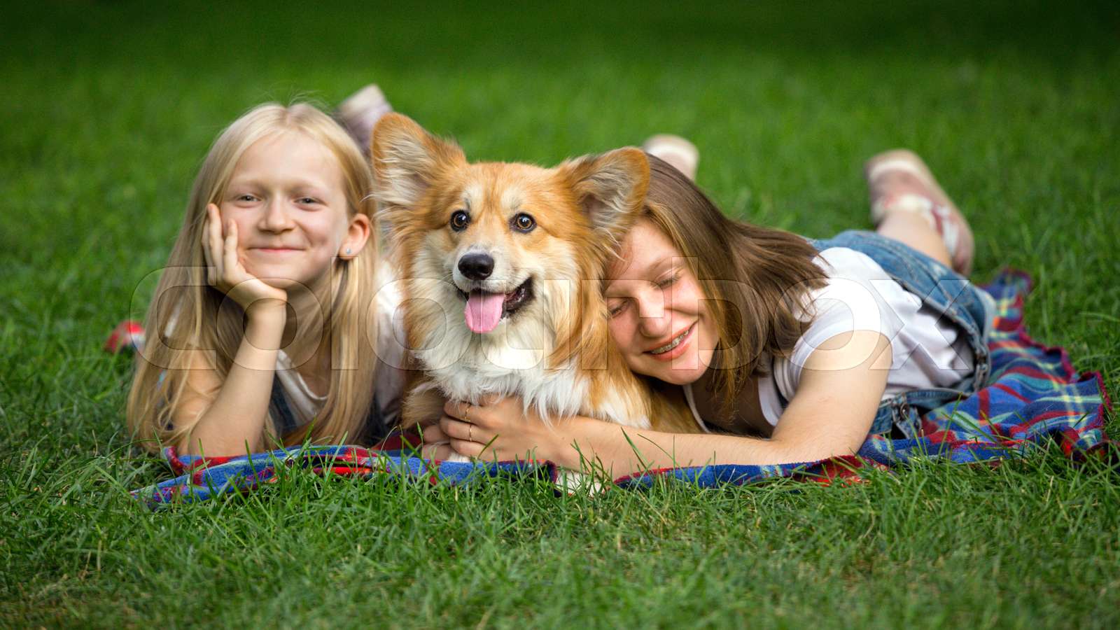 sisters and their dog | Stock image | Colourbox