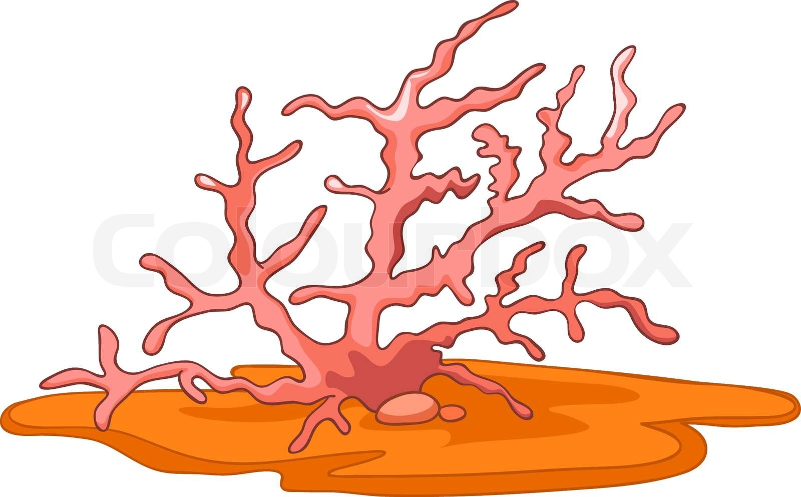 Cartoon Ocean Object Alga Isolated on White Background | Stock vector ...