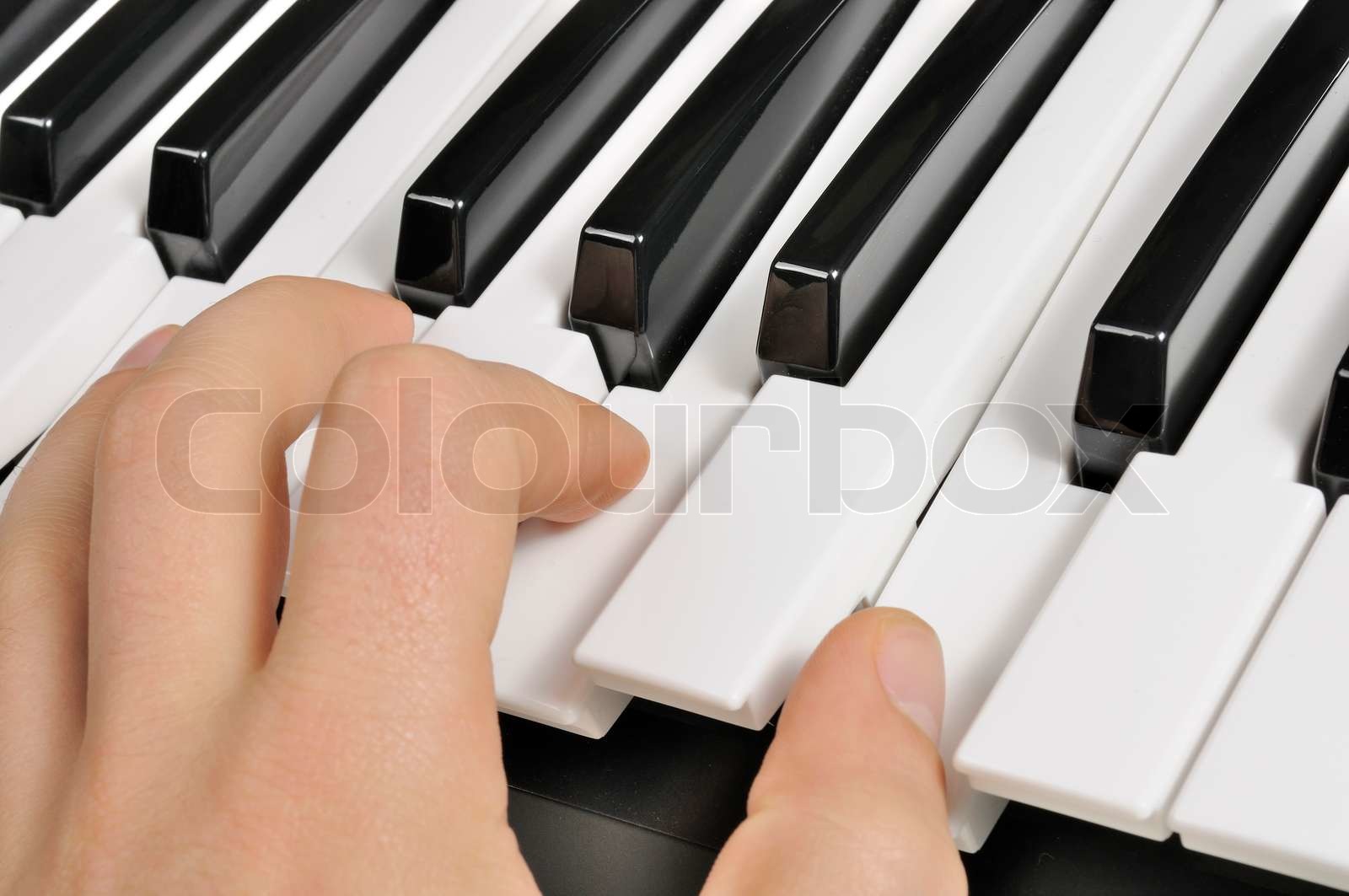 Musician Playing the Piano Keyboard | Stock image | Colourbox