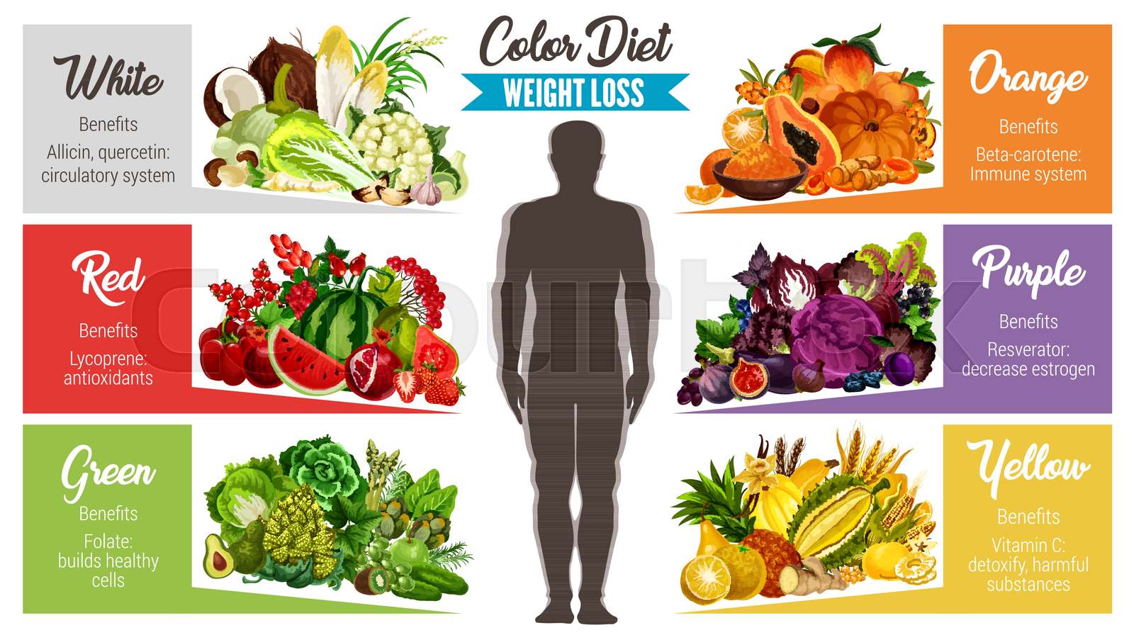 Color diet healthy food banner for weight loss | Stock vector | Colourbox