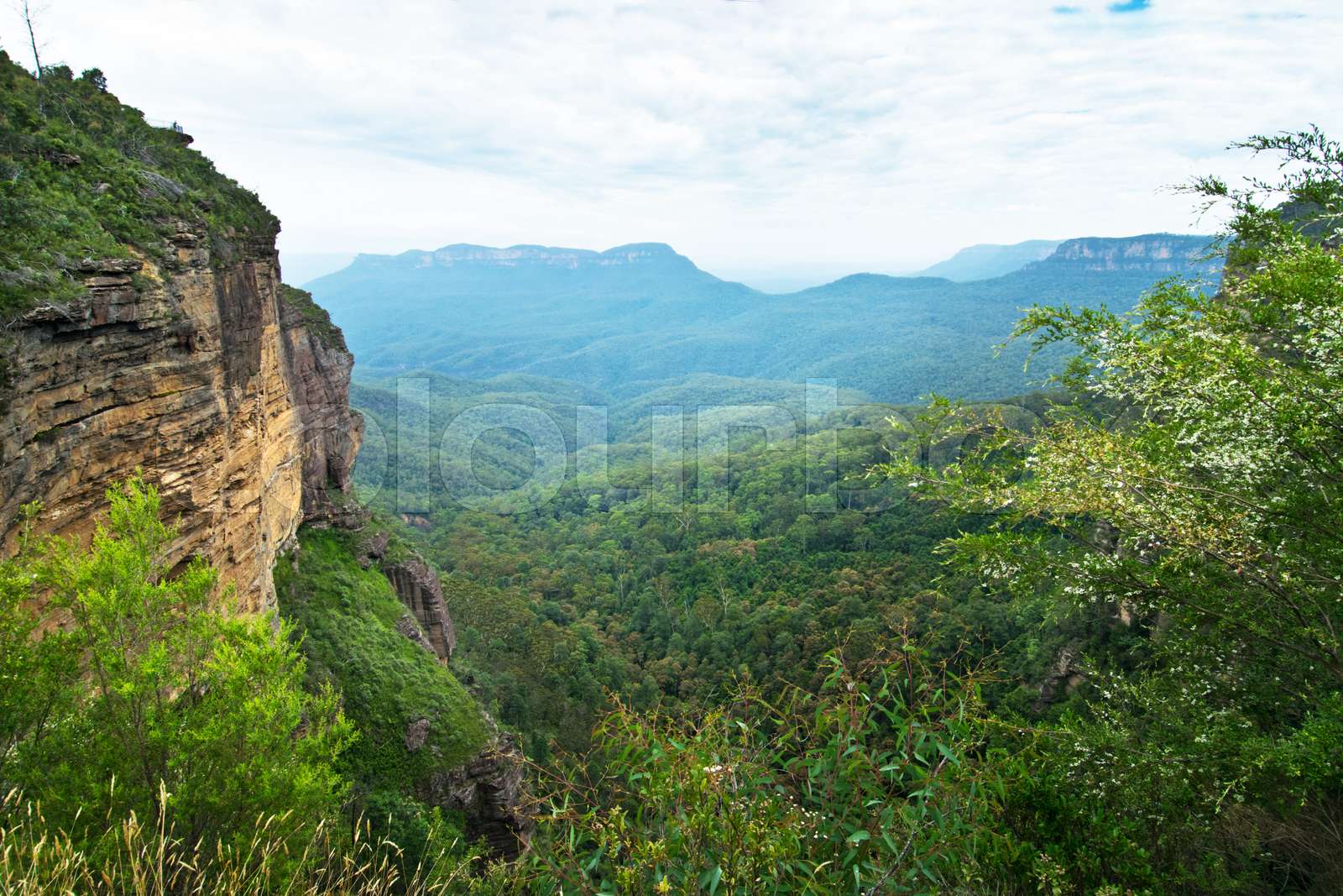 Jamison Valley in Blue Mountains in Australia | Stock image | Colourbox