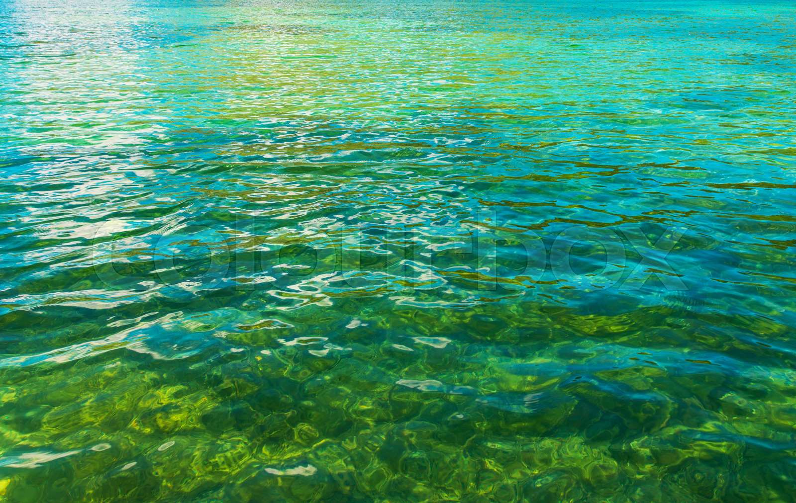 Crystal Clear Lake Water | Stock image | Colourbox