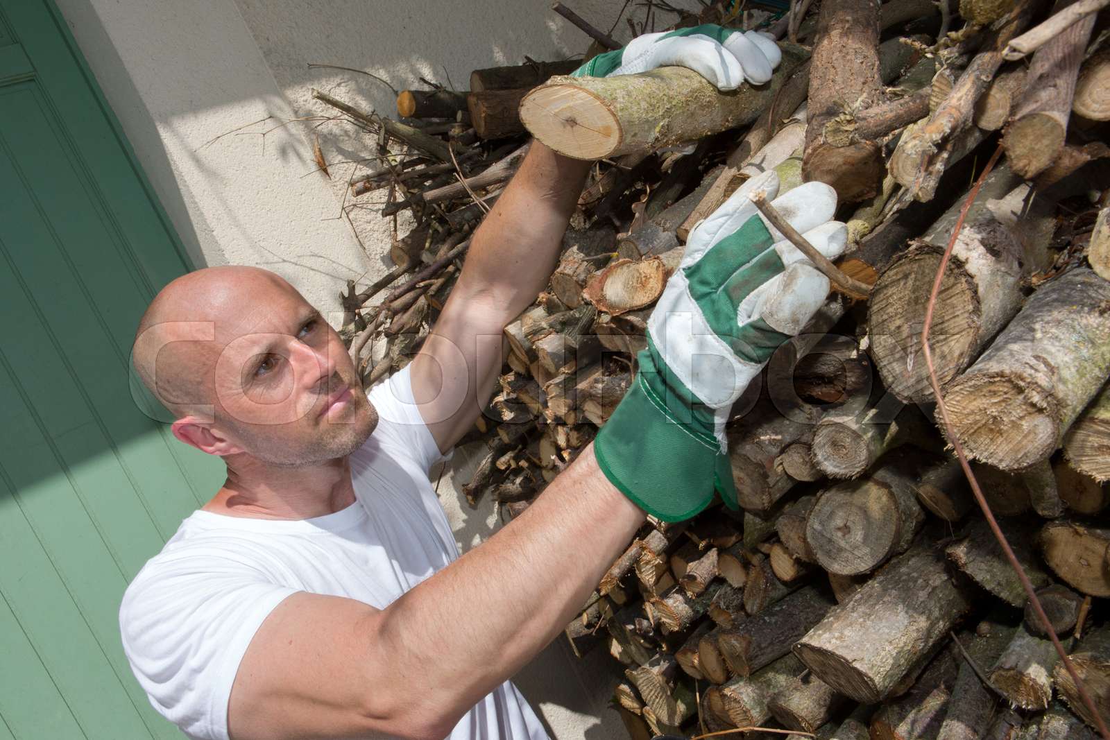 Man taking logs from stack | Stock image | Colourbox