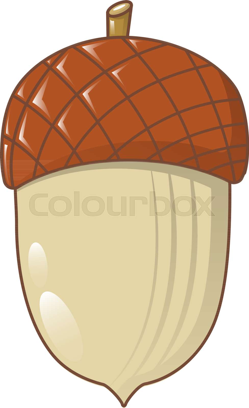 eichel, nuss, icon | Stock-Vektor | Colourbox