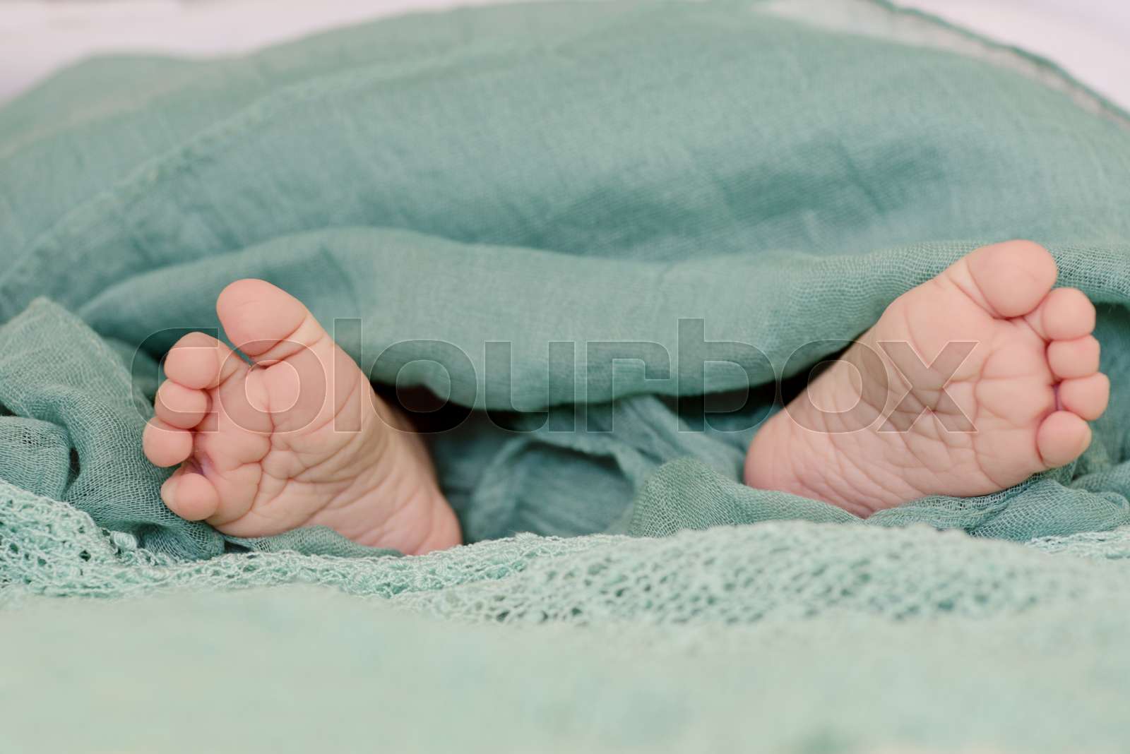 newborn baby feet | Stock image | Colourbox