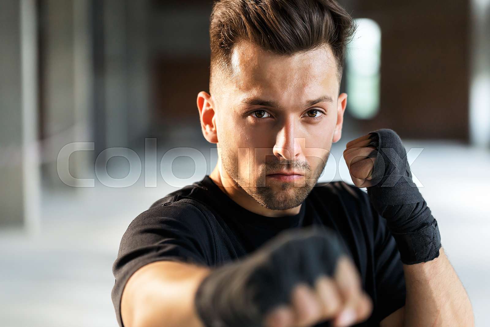 Boxer in Position | Stock image | Colourbox