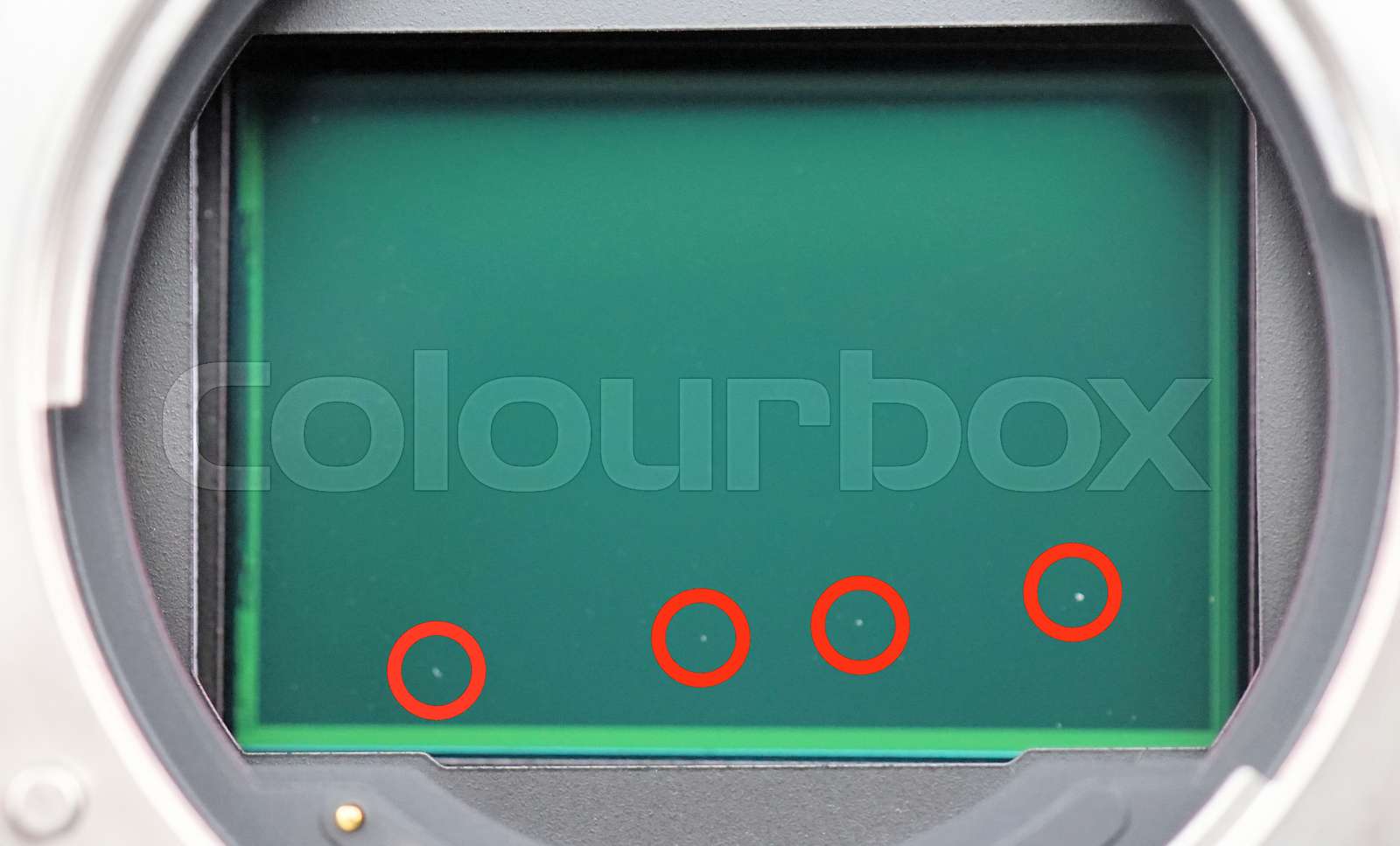 Full format sensor with recognizable and highlighted sensor spots ...