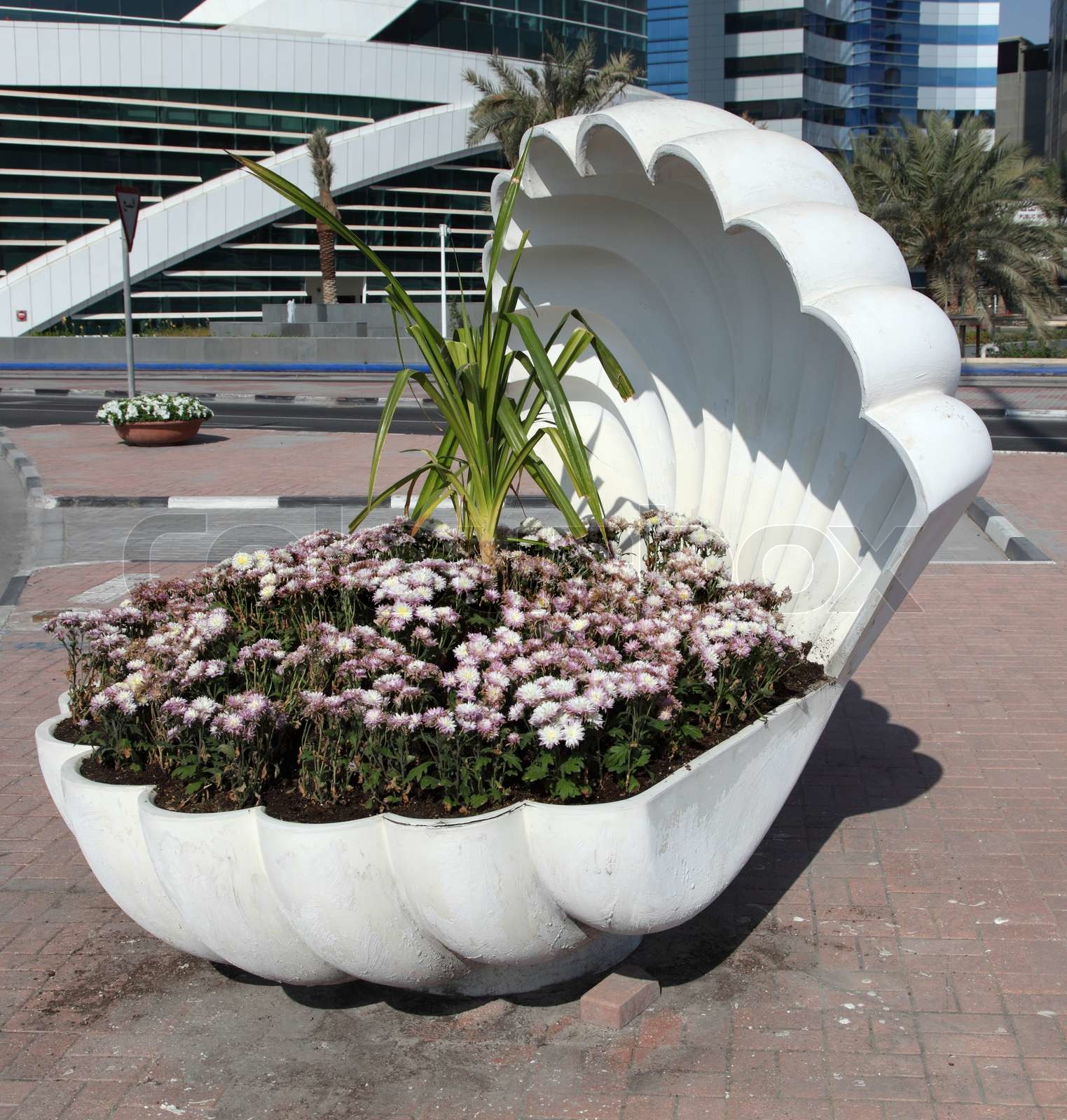 Flowers in the shell, downtown Doha, Qatar | Stock image | Colourbox