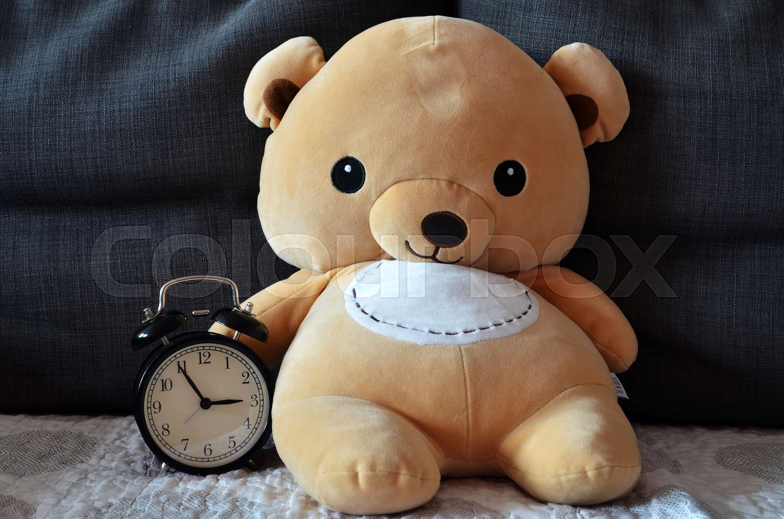 Cute teddy bear hold alarm clock | Stock image | Colourbox