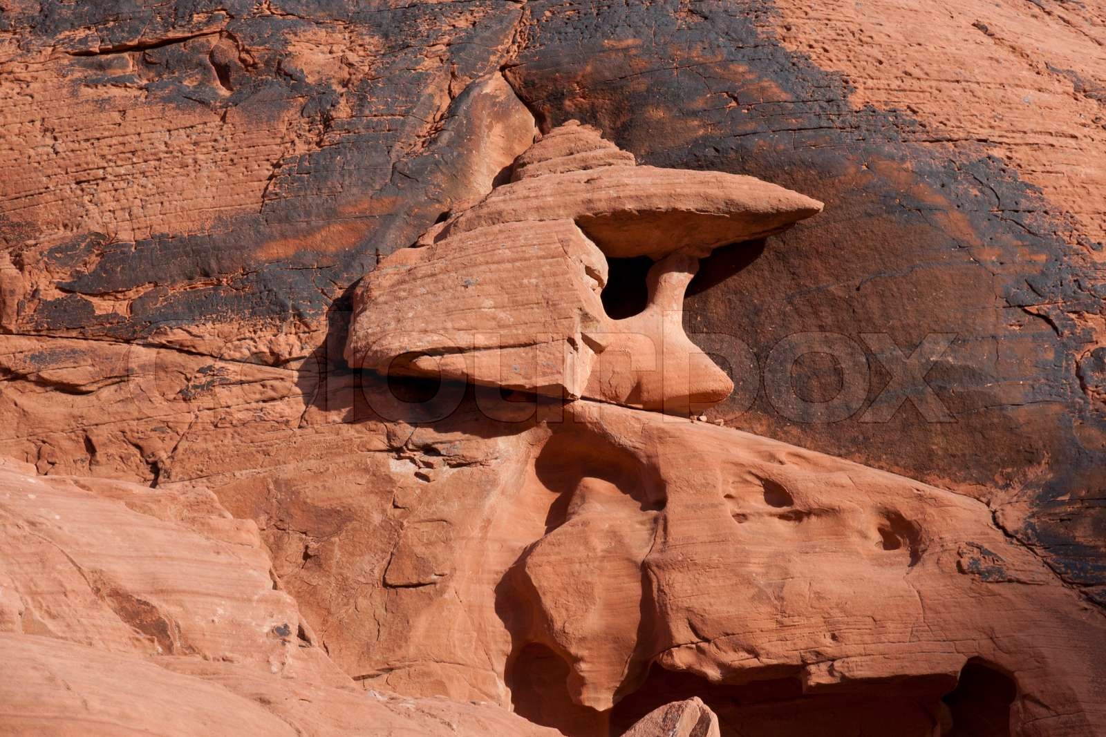 The unique red sandstone rock formations in Valley of Fire State park ...