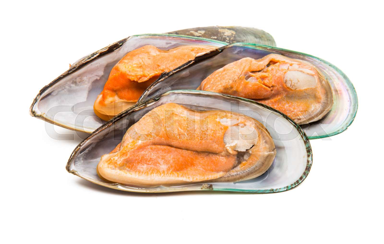 mussels isolated | Stock image | Colourbox