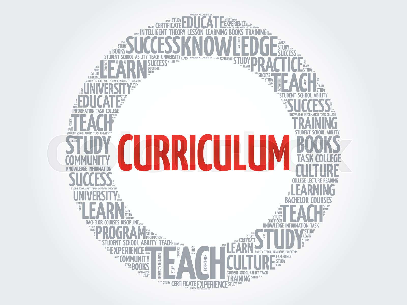 CURRICULUM word cloud collage | Stock vector | Colourbox