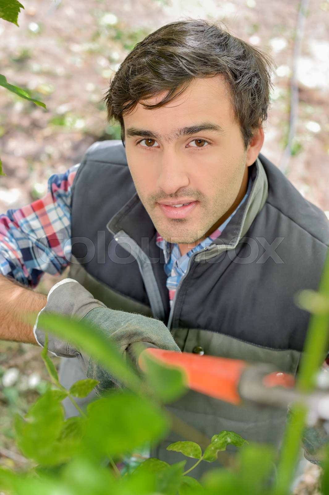 gardener | Stock image | Colourbox