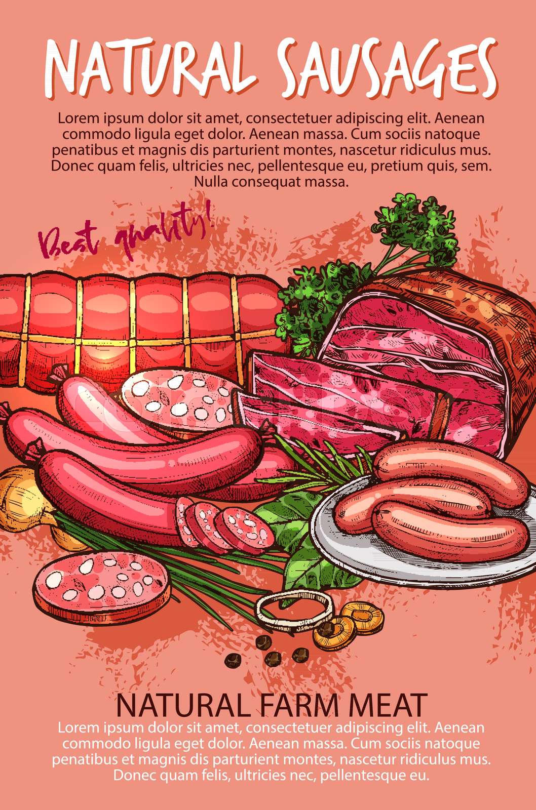 Sausage banner with beef and pork meat product | Stock vector | Colourbox