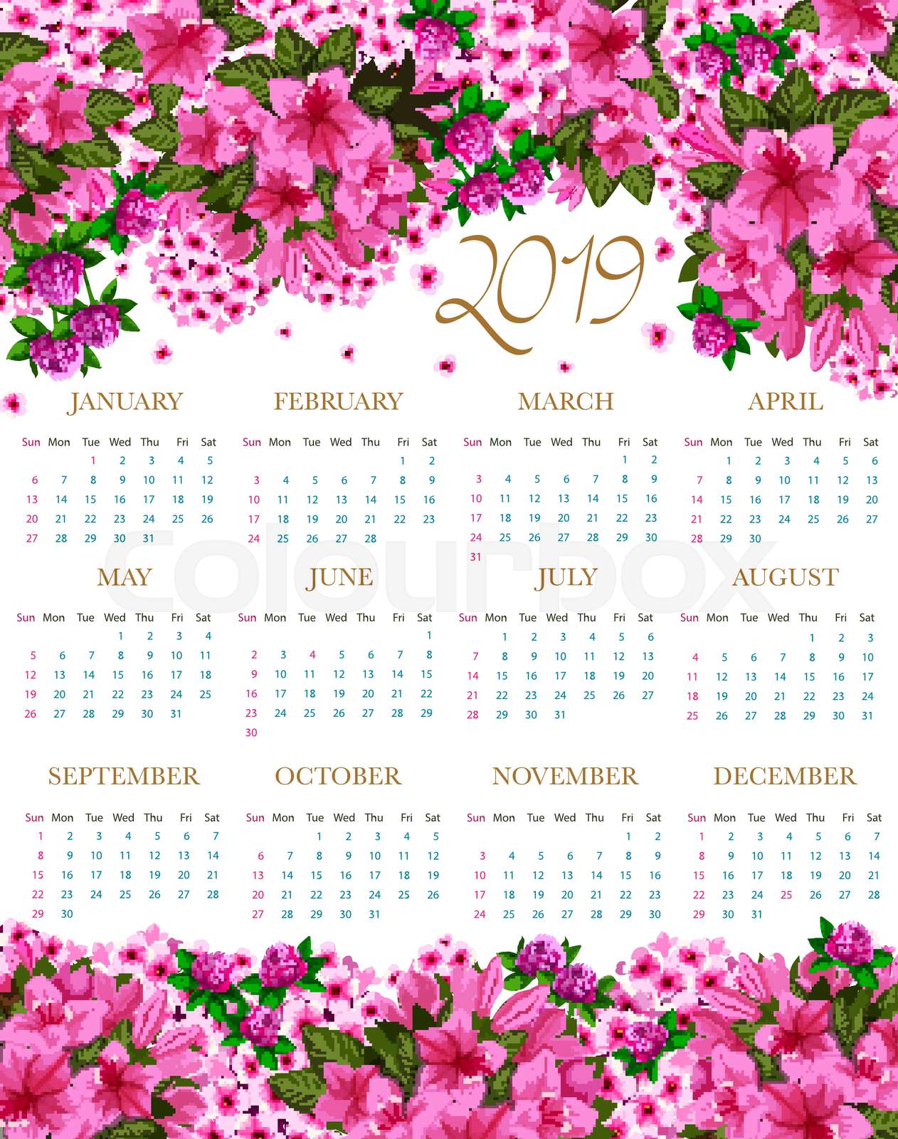 2019 vector calendar of spring pink flowers | Stock vector | Colourbox