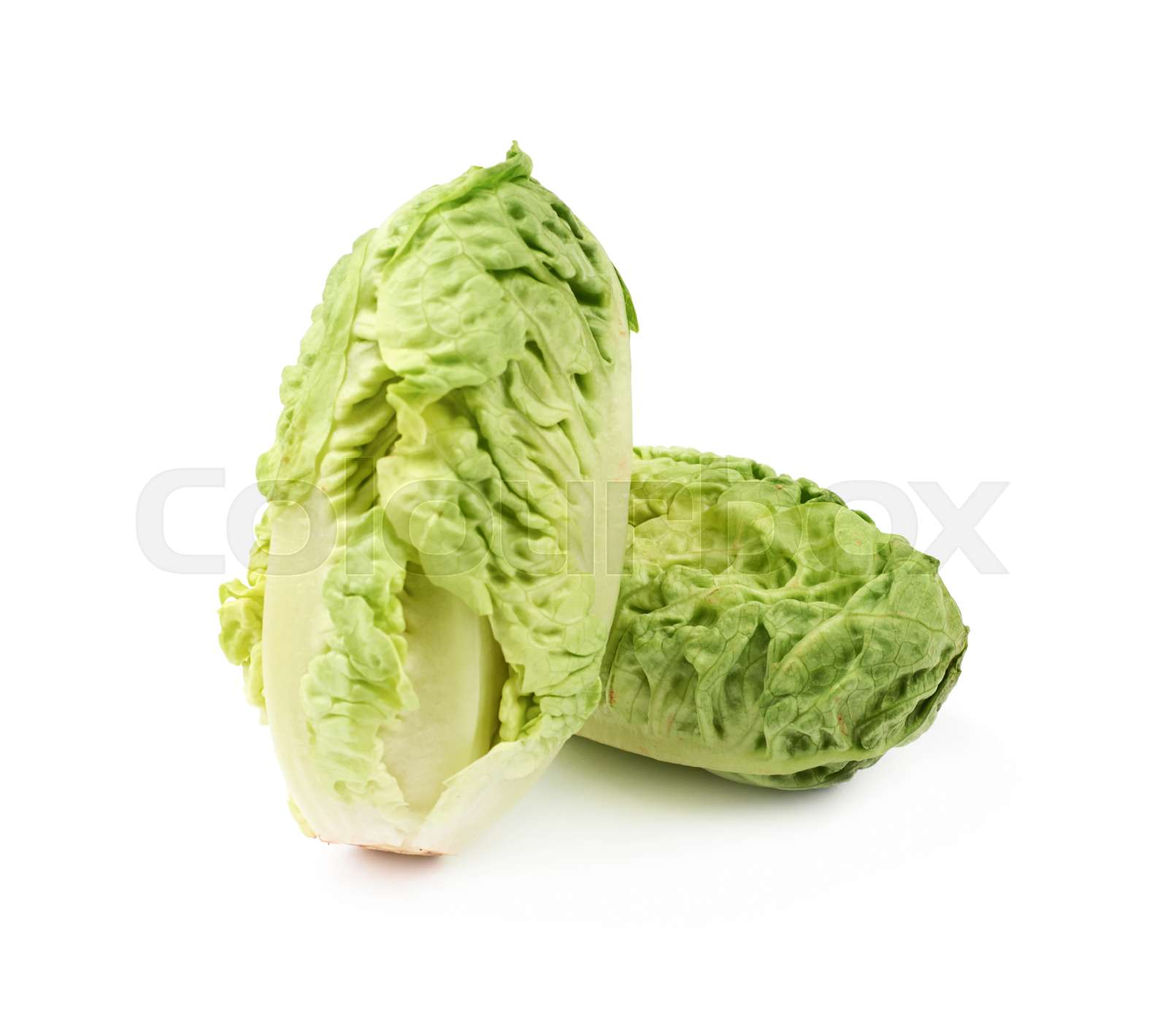 Little gem salat isolated | Stock image | Colourbox