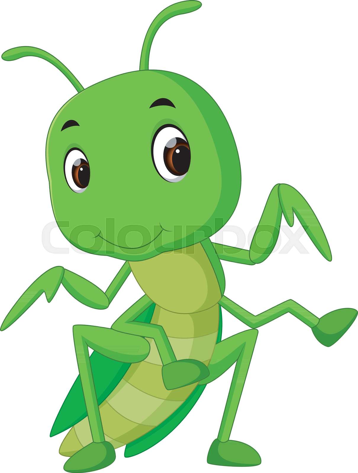 Cartoon Praying Mantis