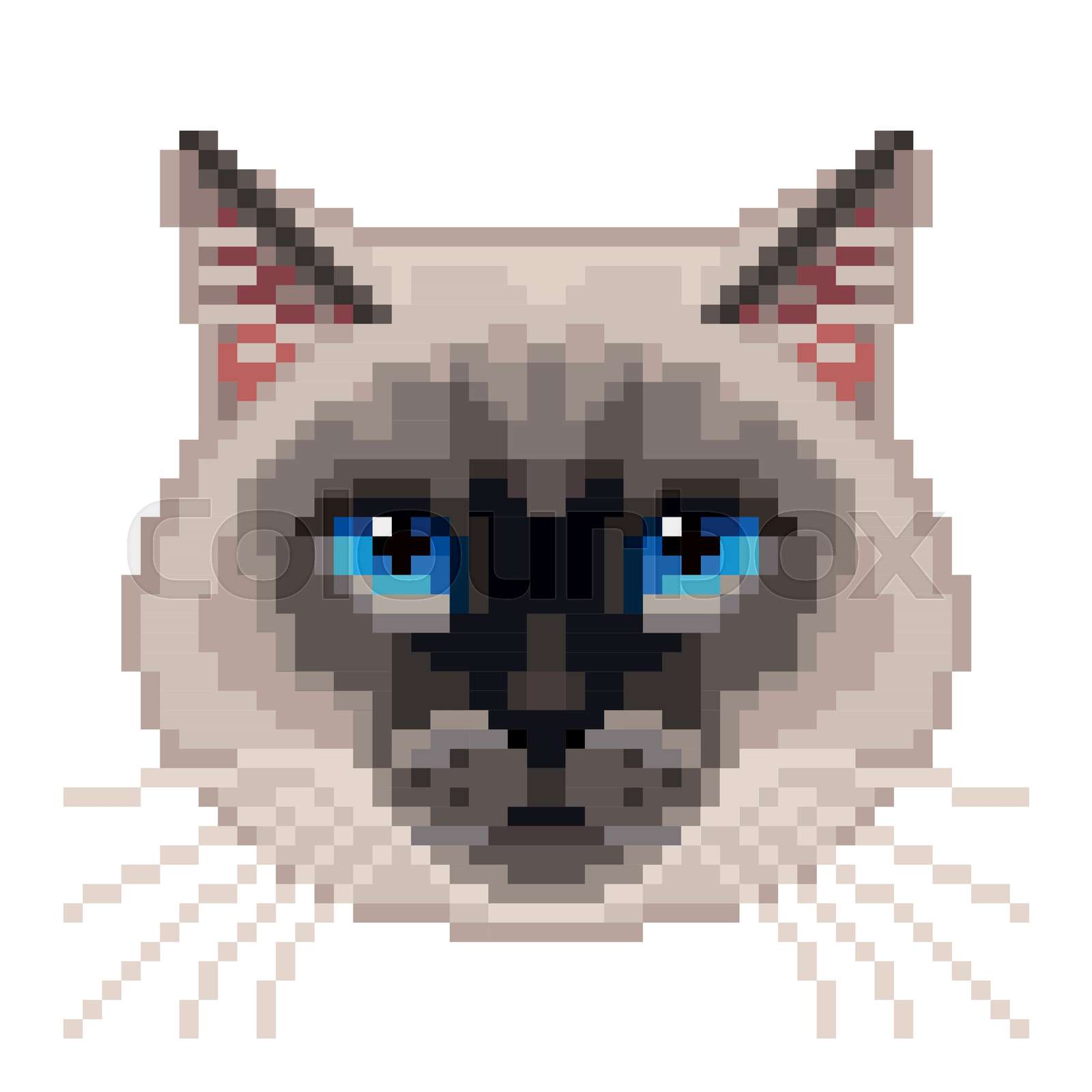 Pixel siamese cat face isolated vector | Stock vector | Colourbox