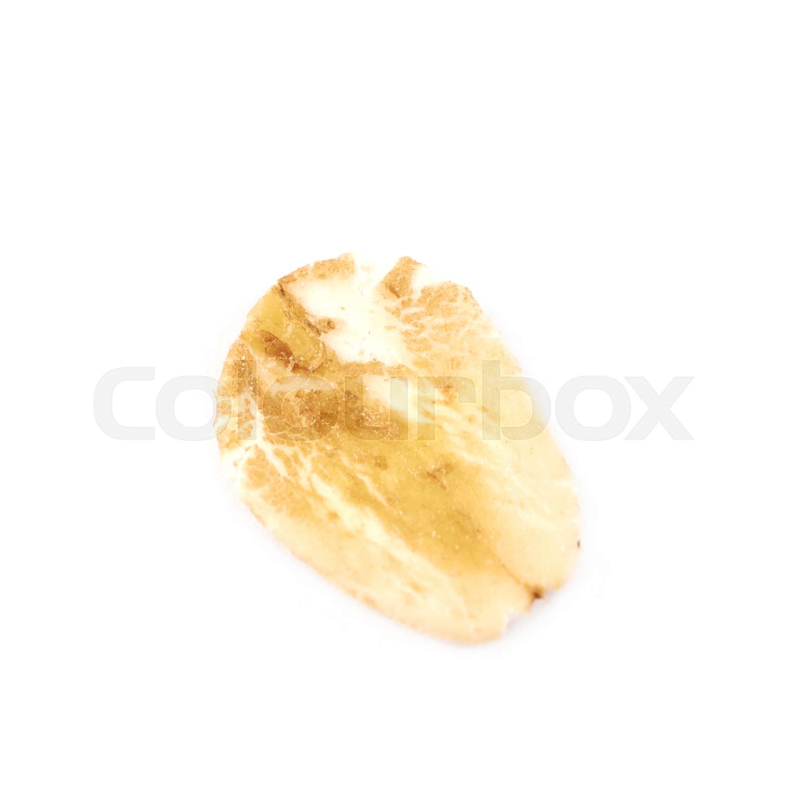 Single oat flake isolated | Stock image | Colourbox