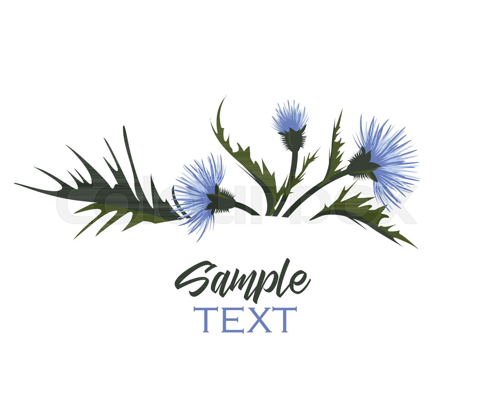 Thistle with leaves | Stock vector | Colourbox