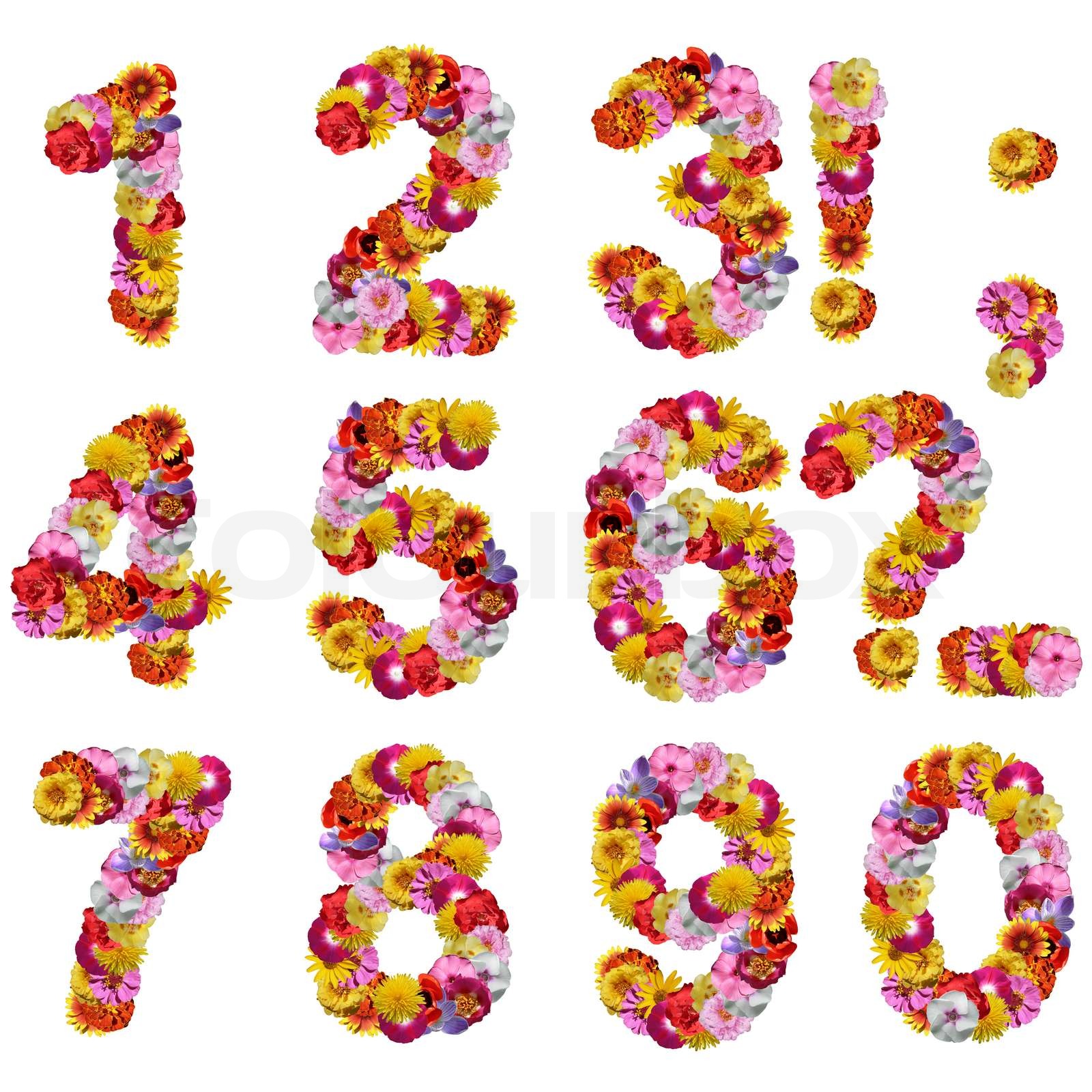 numbers of flowers isolated on a white background | Stock image | Colourbox