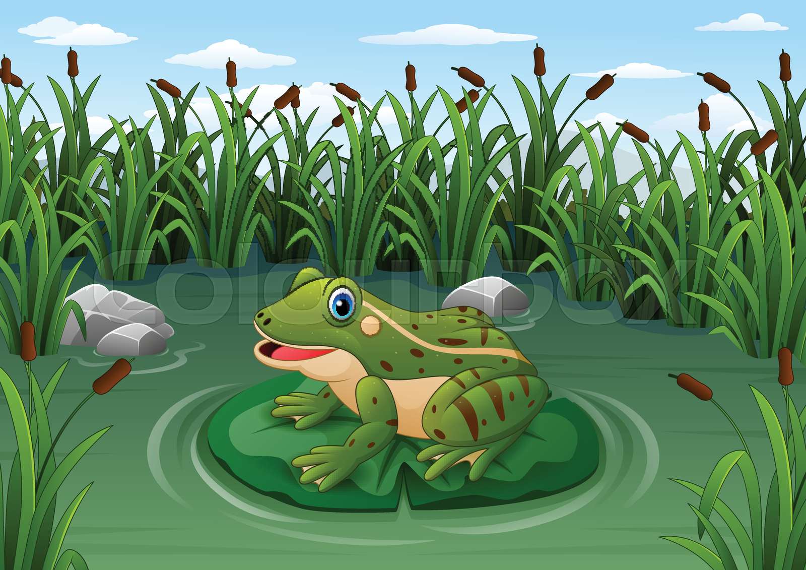 Cartoon frog on a leaf in the pond | Stock vector | Colourbox