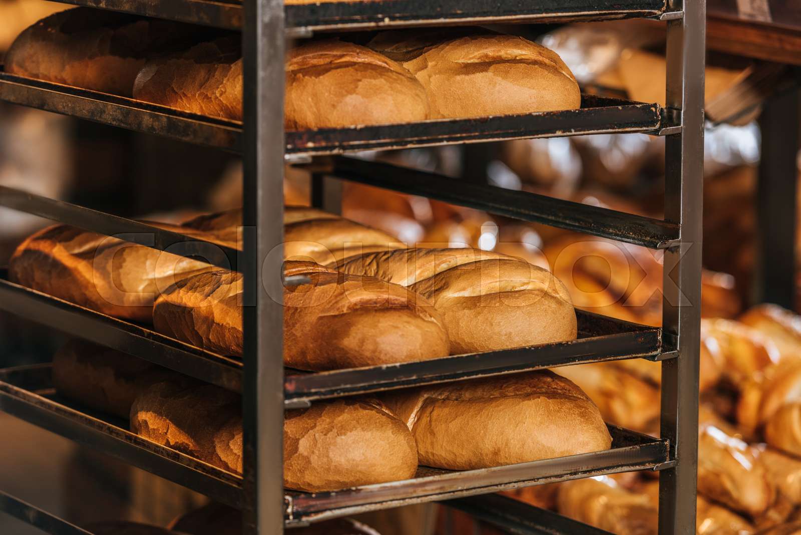 close up view of freshly baked bakery in hypermarket | Stock image ...