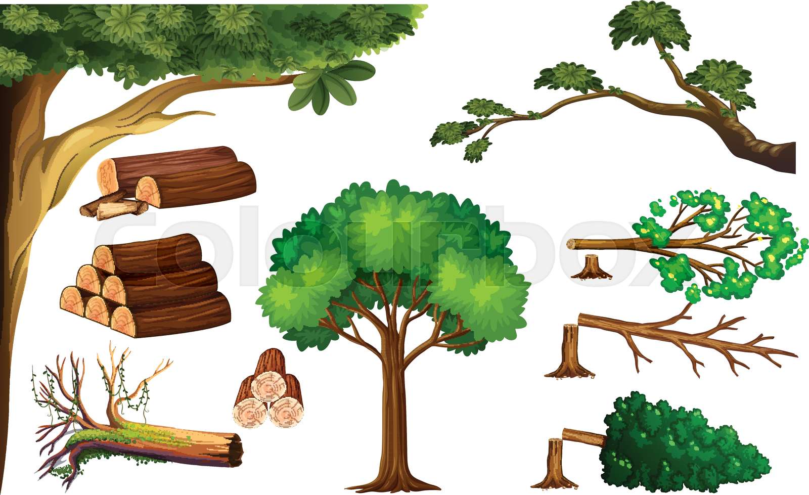 A Set of Cutting Tree | Stock vector | Colourbox
