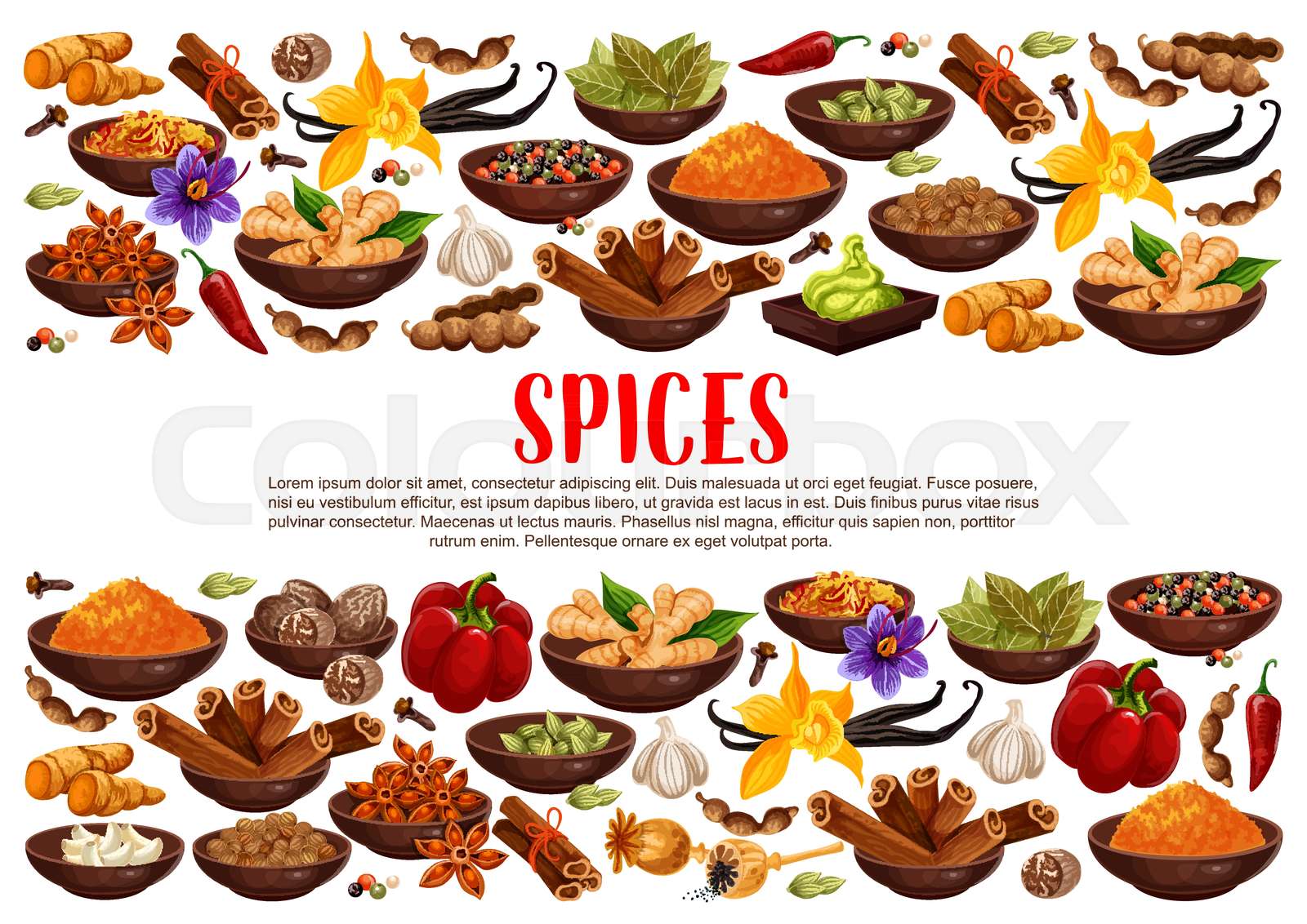 Spices and condiments cooking ingredients poster | Stock vector | Colourbox