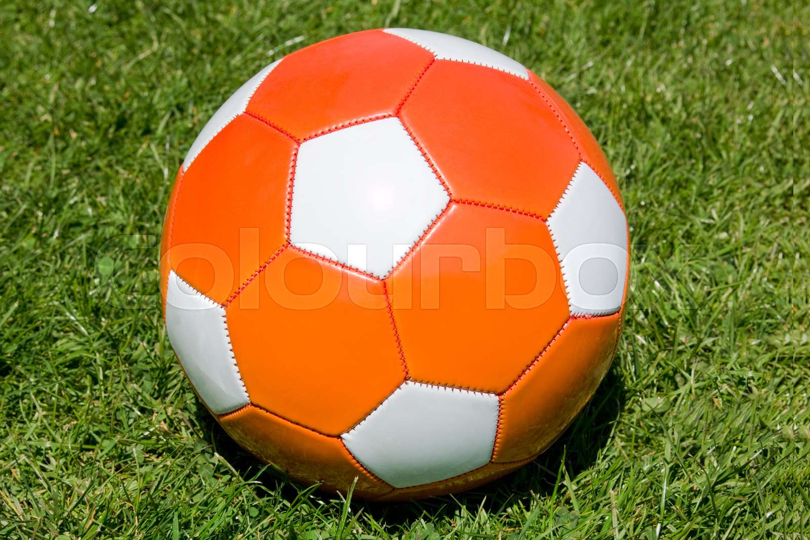 orange soccer ball | Stock image | Colourbox