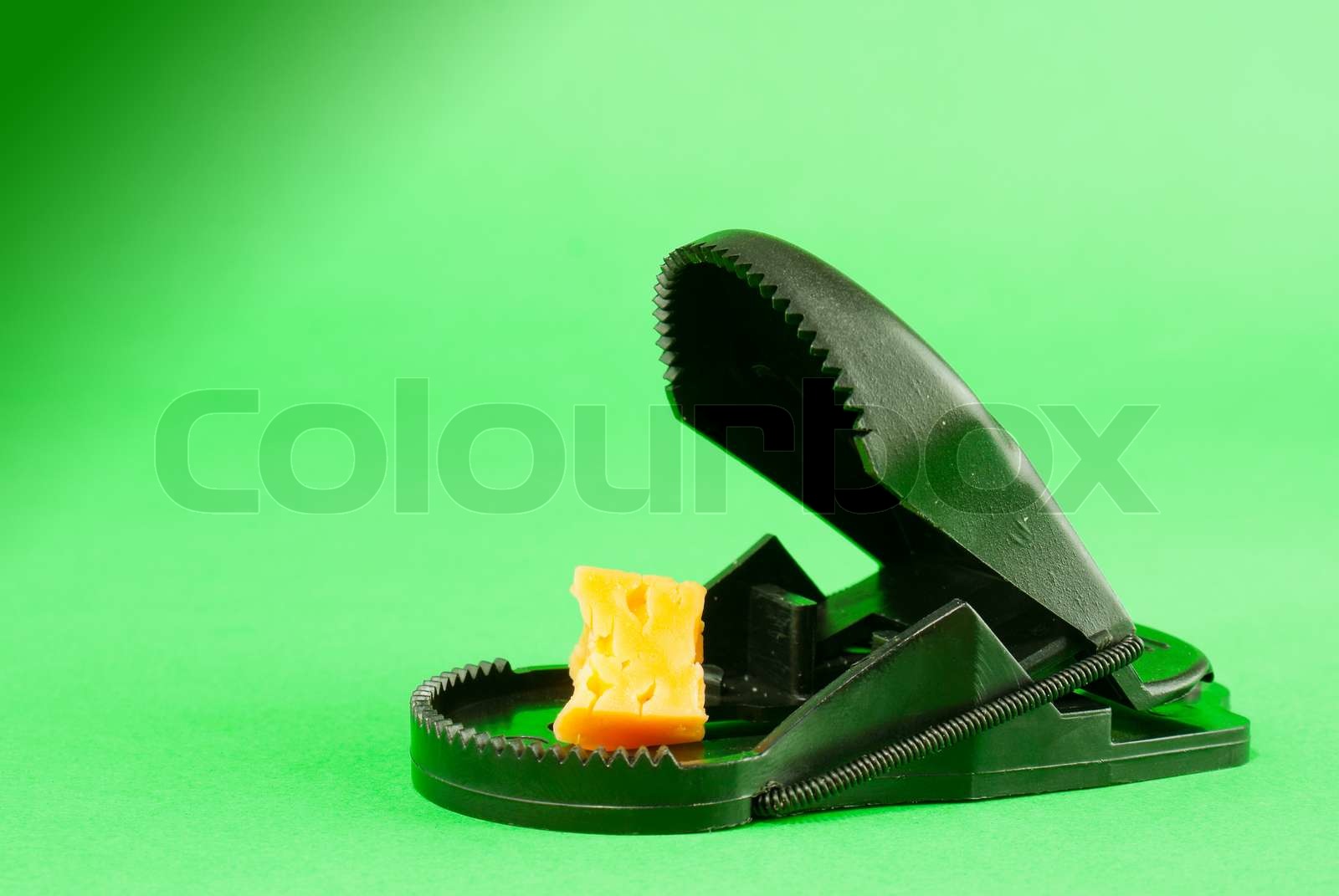 Schwarzer Kunststoff Mausefalle mit Köder über grünem Hintergrund ...