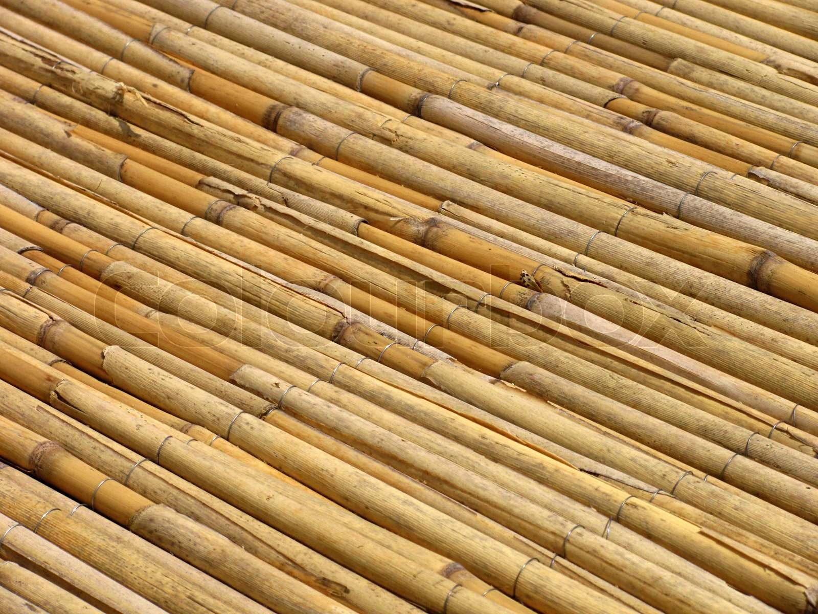 cane roof | Stock image | Colourbox