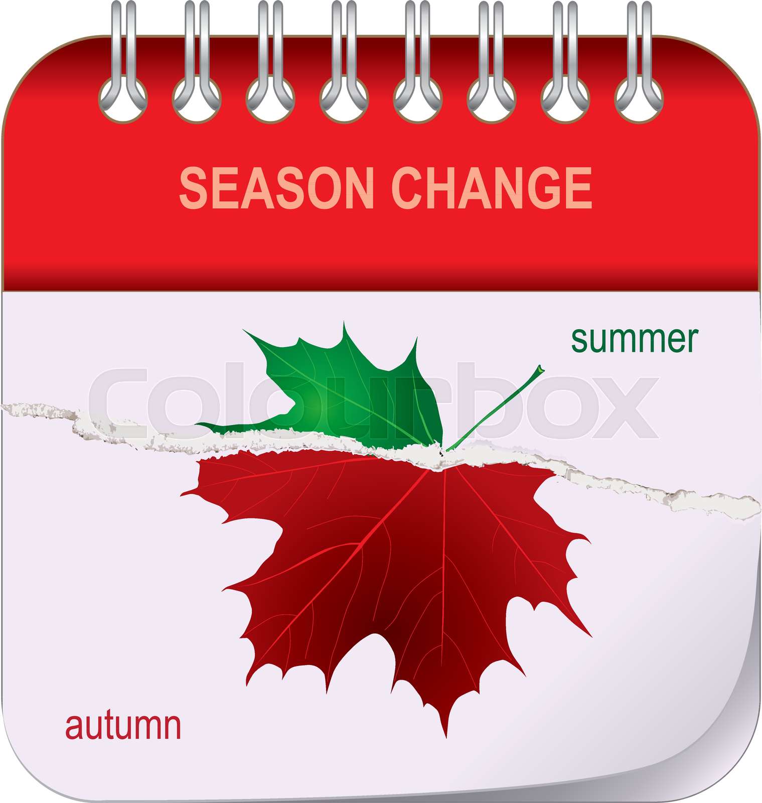Tear-sheet calendar summer-autumn | Stock vector | Colourbox