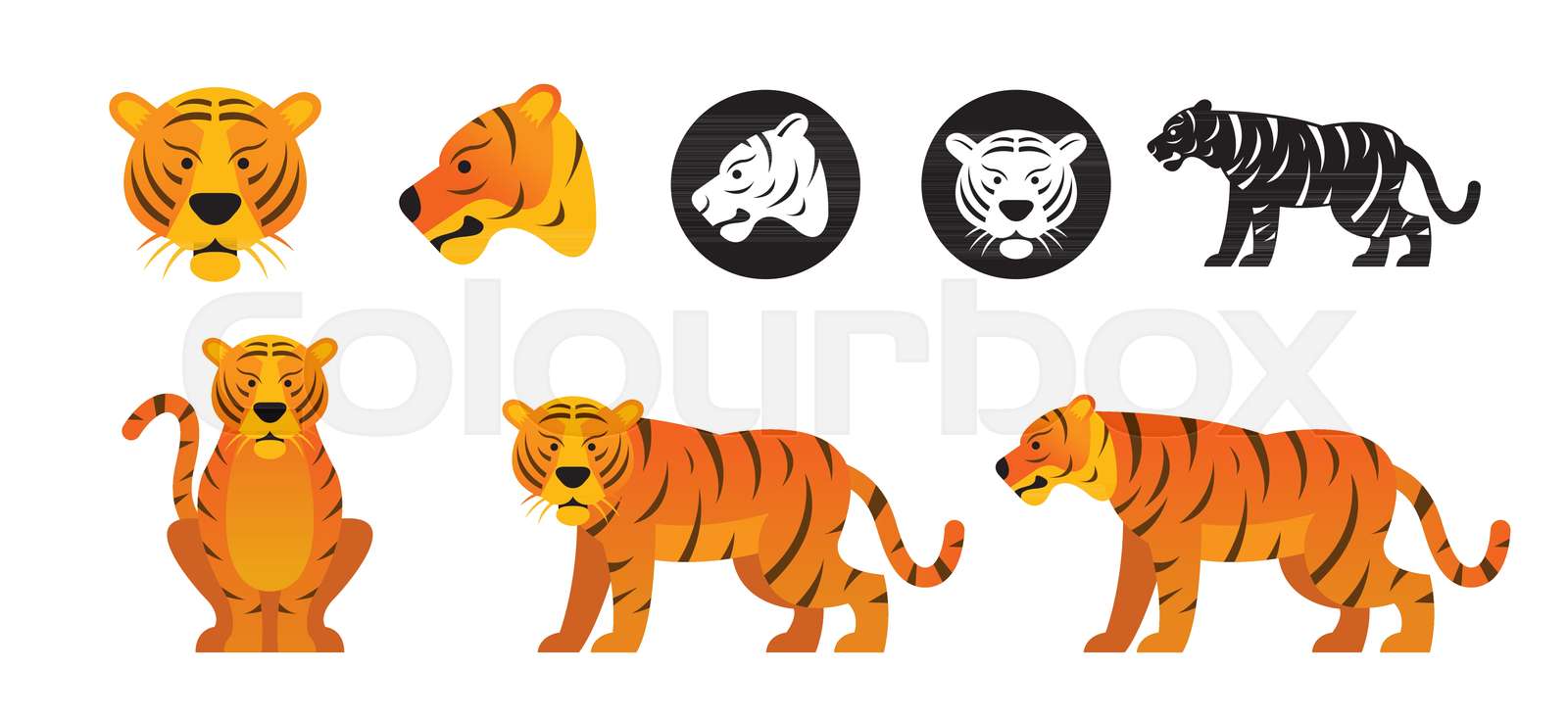 Tiger Vector Set | Stock vector | Colourbox
