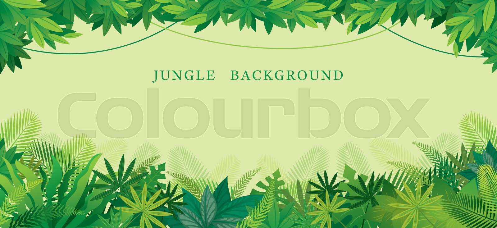 Tropical Jungle Frame | Stock vector | Colourbox