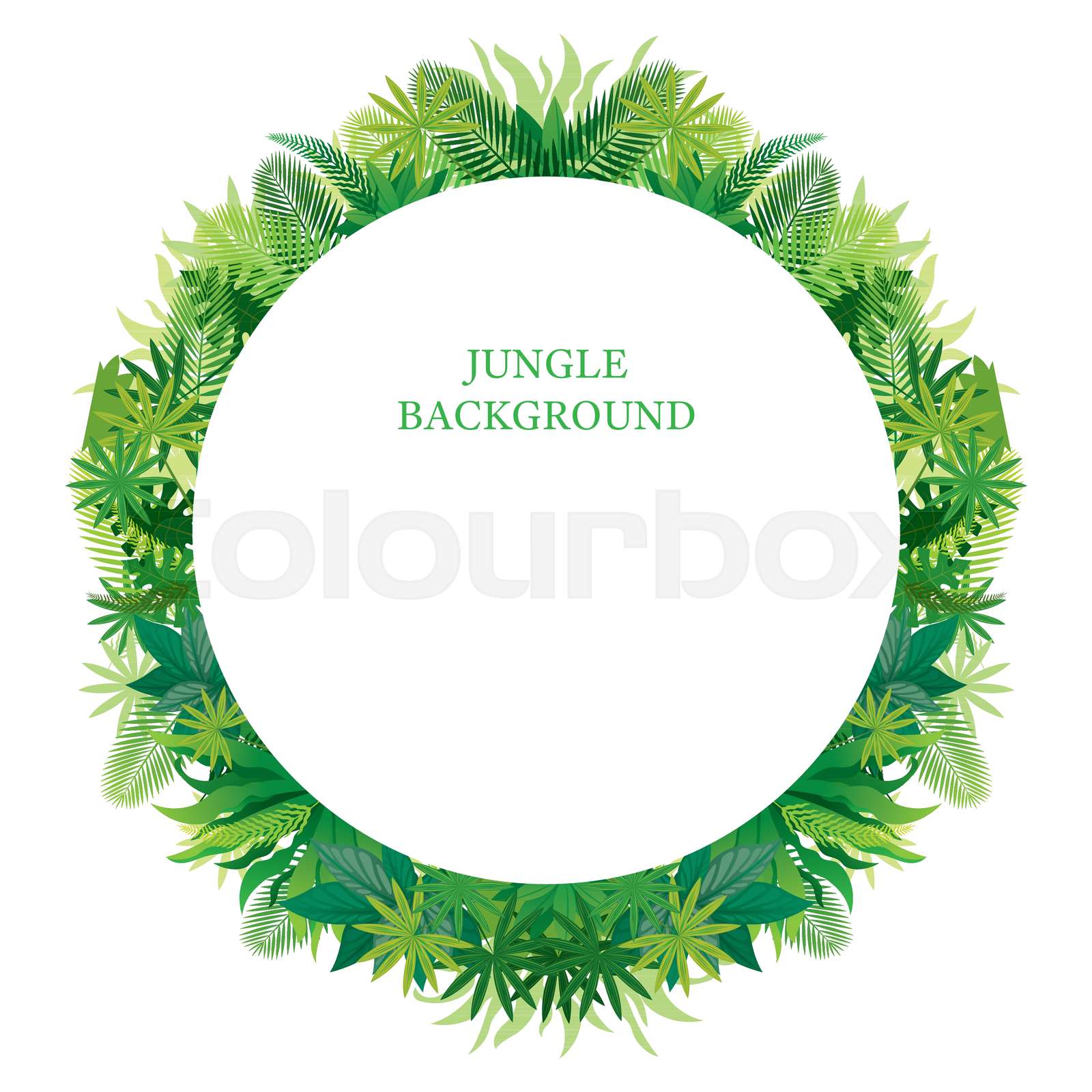 Tropical Jungle Round Frame | Stock vector | Colourbox