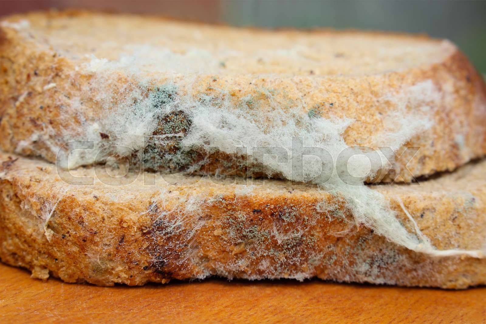The old black mold on the bread. Spoiled food. Mold on food. | Stock ...