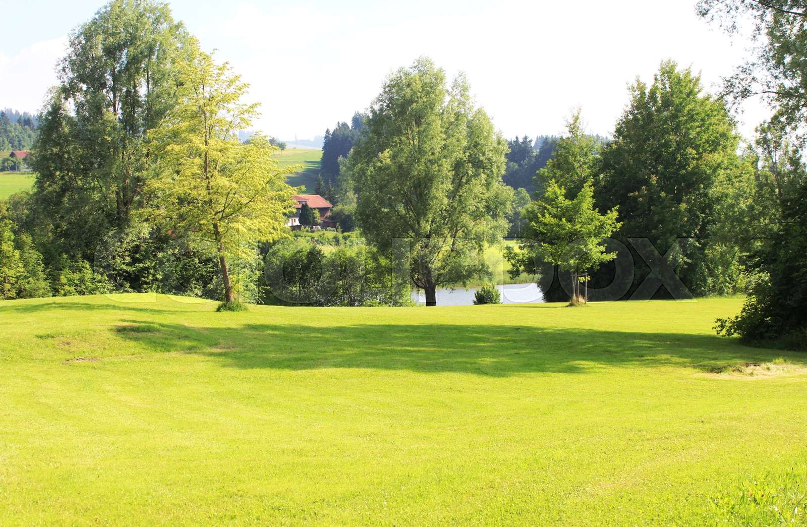 Wiese am Badesee mit Bäumen | Stock image | Colourbox