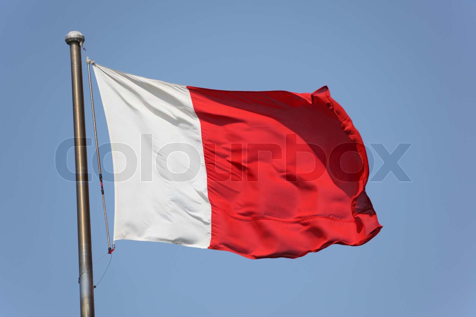 Flag of Dubai, United Arab Emirates | Stock image | Colourbox