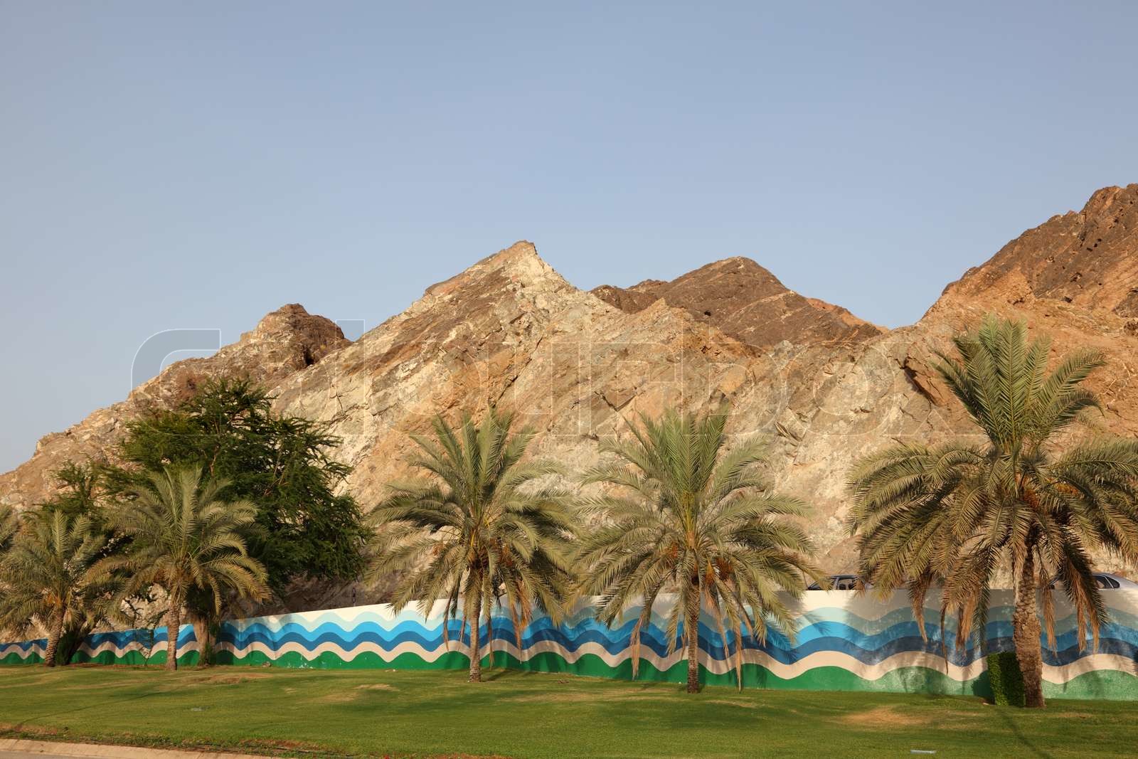 Palm Trees in Muscat, Sultanat Oman | Stock Bild | Colourbox