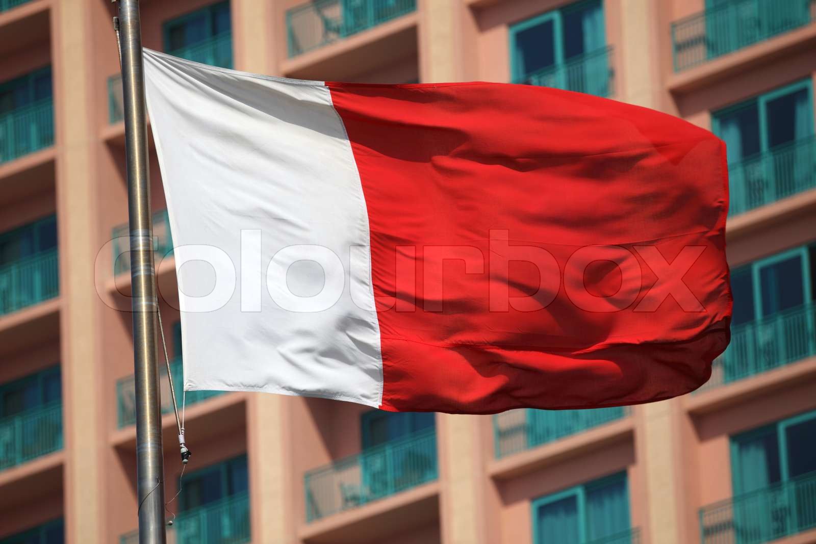 Flag of Dubai, United Arab Emirates | Stock image | Colourbox