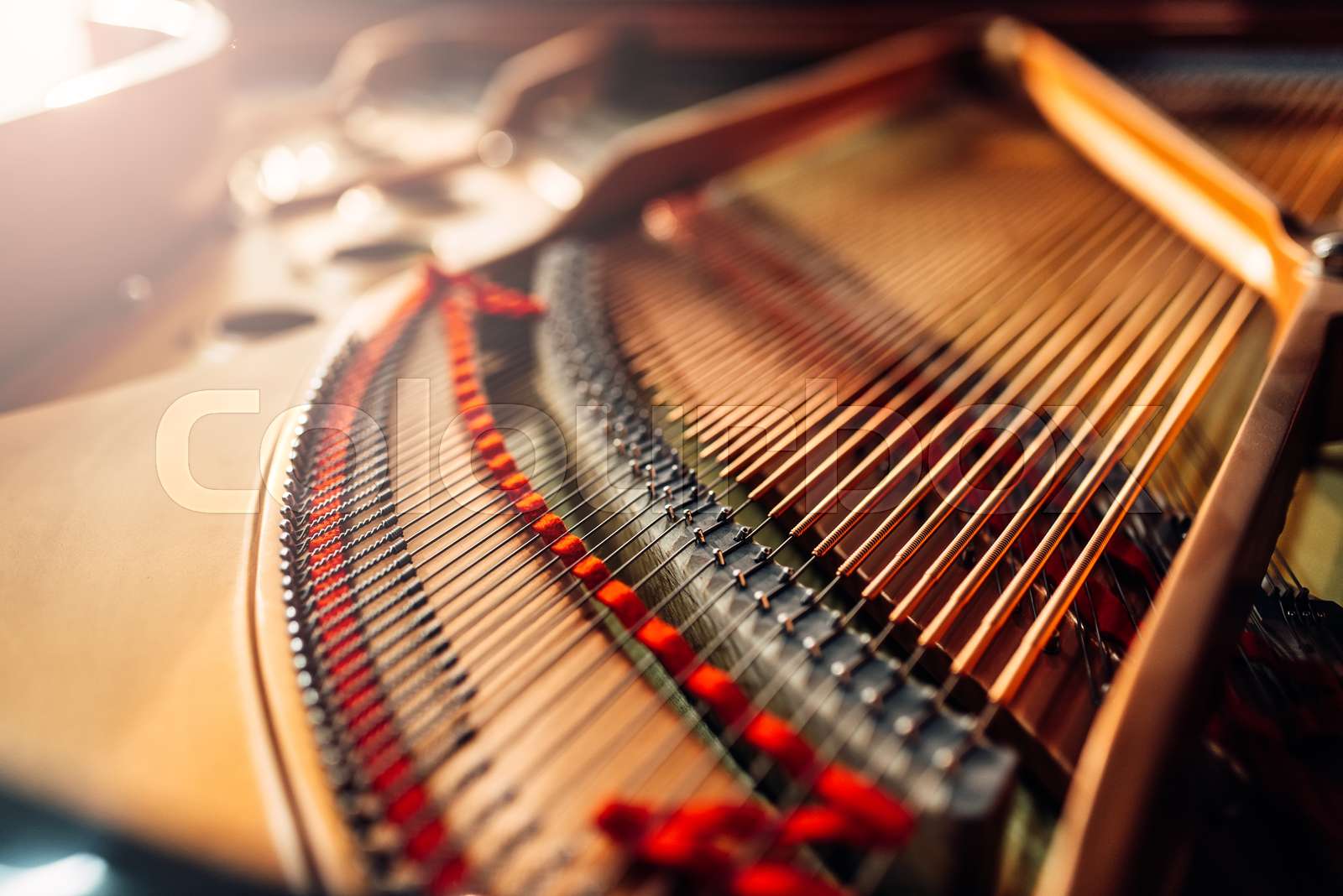 Inside grand piano, strings closeup, nobody | Stock image | Colourbox