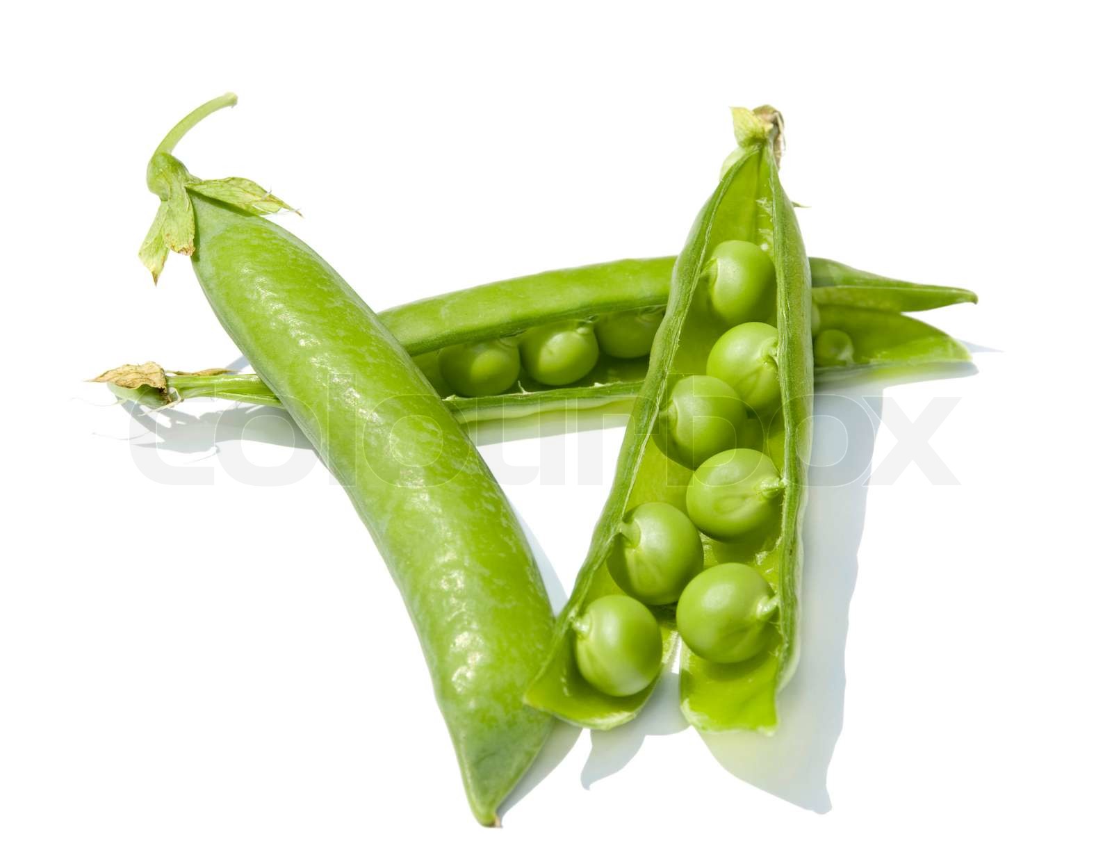 three open pea pods isolaned on white | Stock image | Colourbox